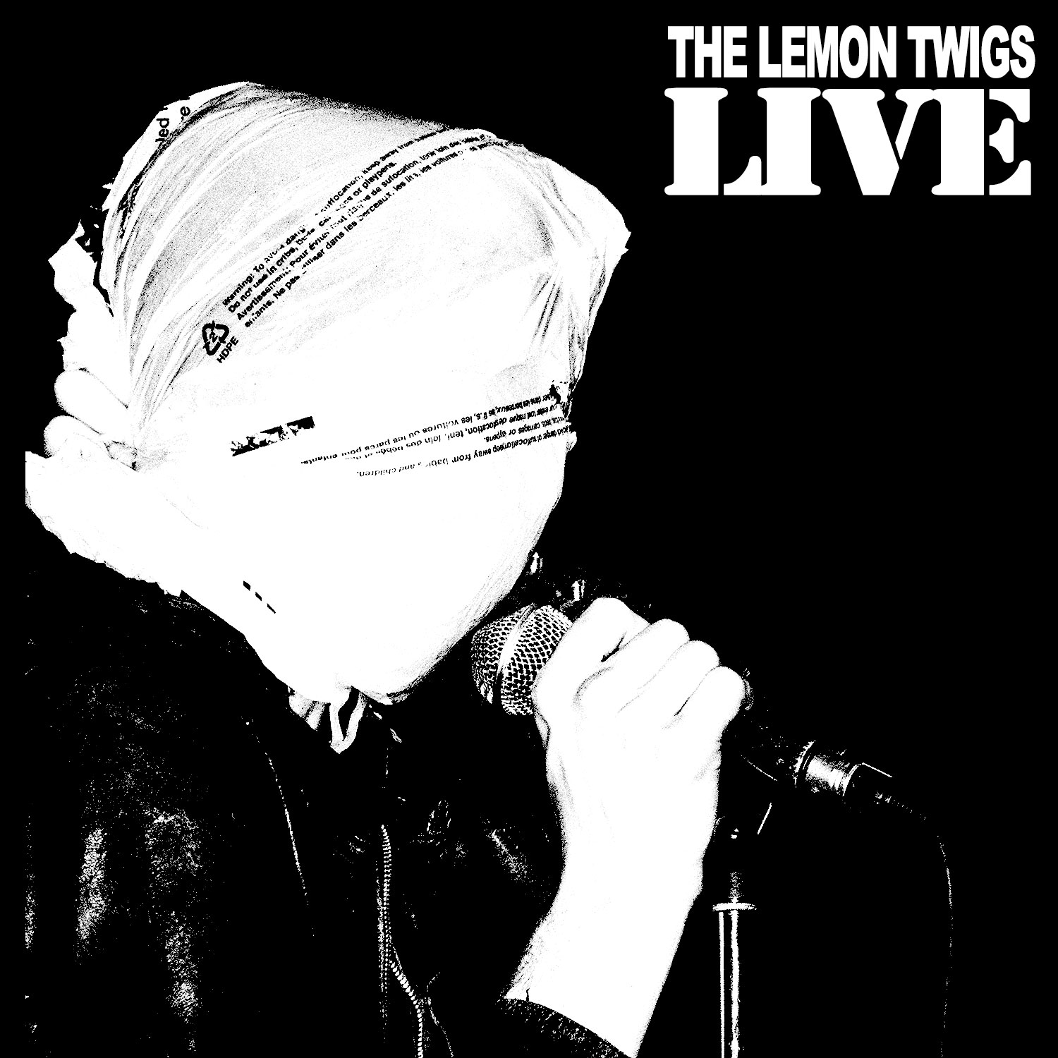 The Lemon Twigs Release Live Album for Charity - Pursuit Of Dopeness